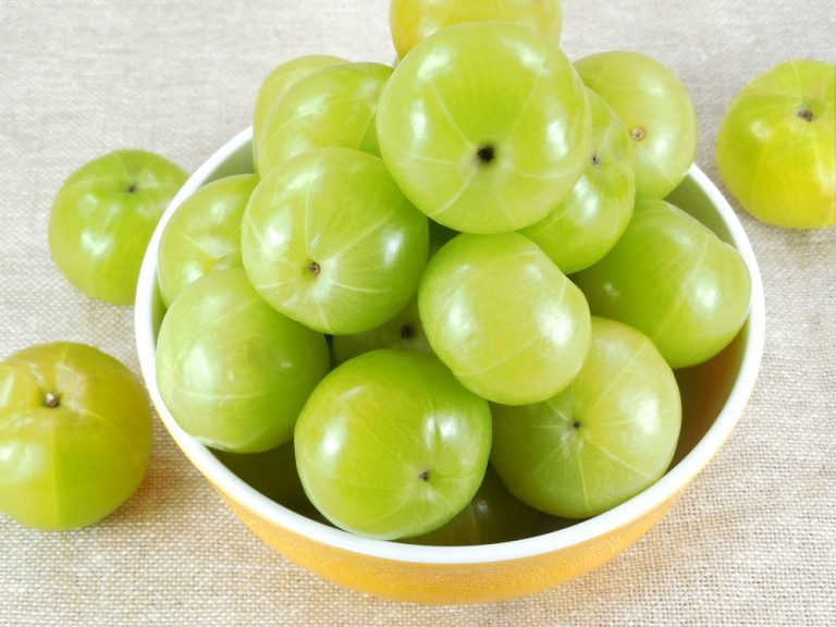 Amla - Emblica Officinalis - Trust The Herb