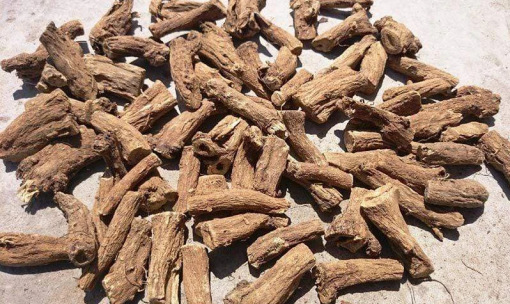 Indian Costus Root – Kust e Talkh – Saussurea Lappa - Trust The Herb