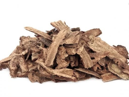 5 Amazing Health Benefits of Marine Costus root - Trustherb