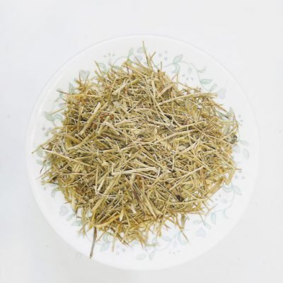 5 health benefits of Camel thorn - Trustherb Ayurveda