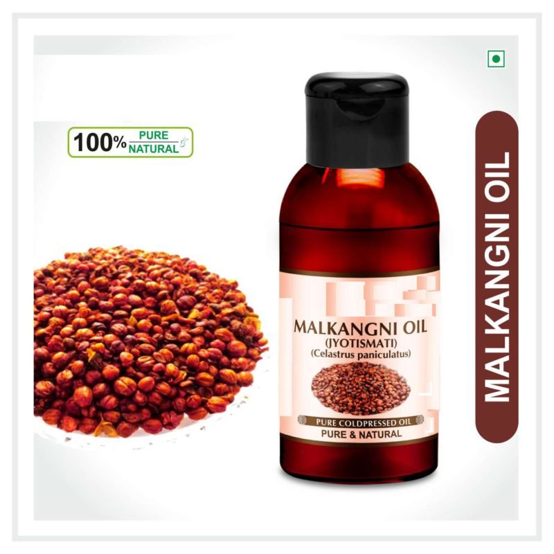 Malkangni Oil | JYOTISHMATI SEEDS Oil | Trustherb
