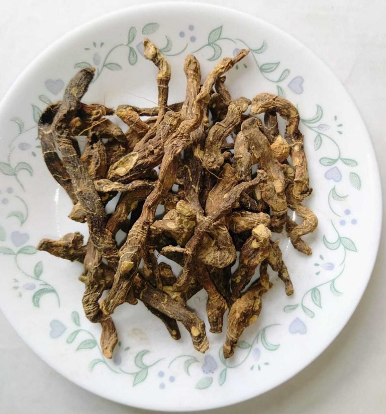 Mandrake Root - Herbal Healing/Hoodoo Herbs/Spiritual Herbs